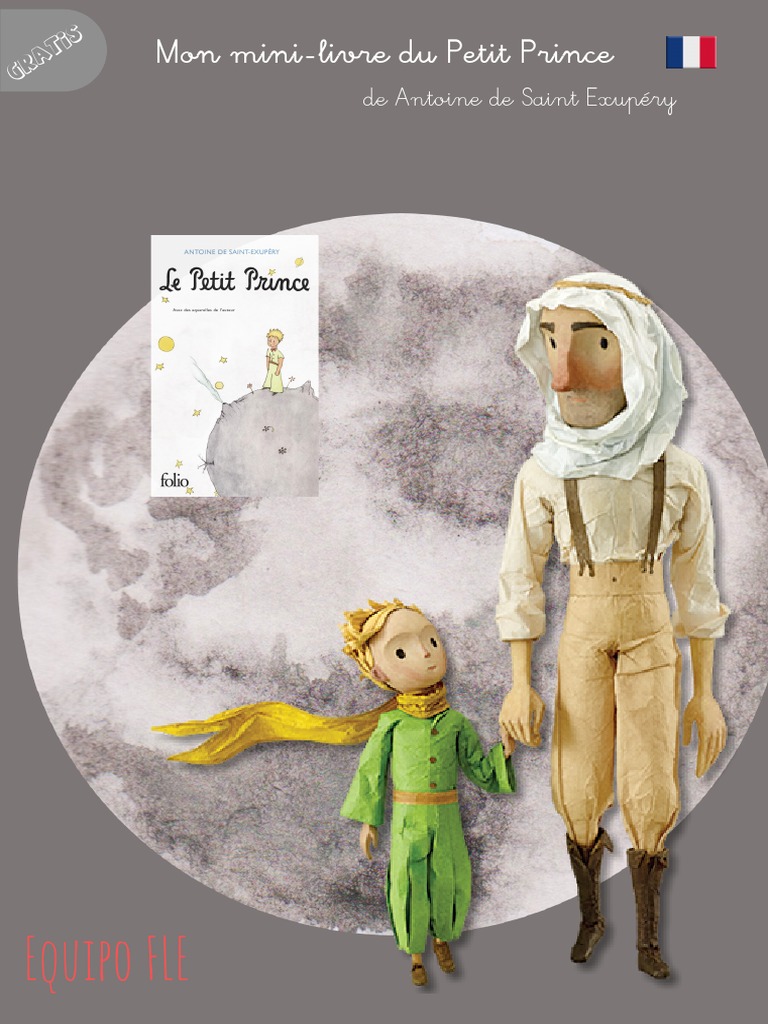 Petit Prince | PDF