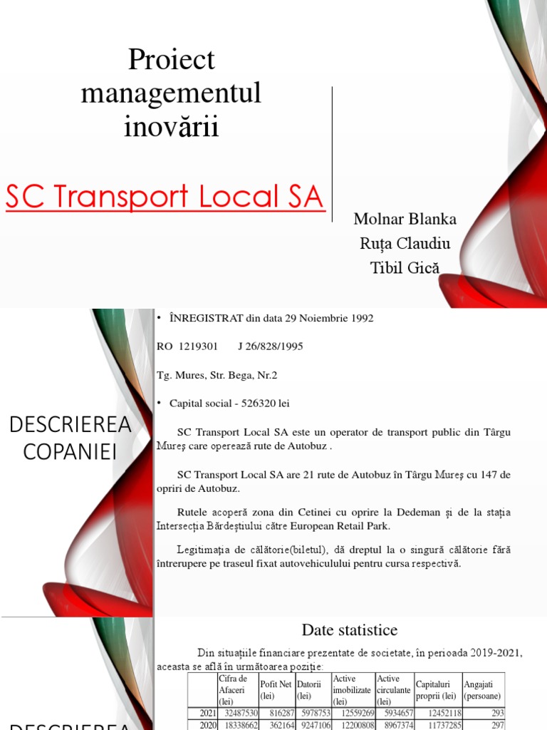 Proiect Managementul Inovarii | PDF