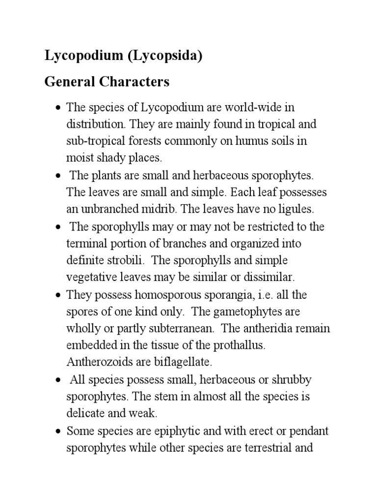 Lycopodium | PDF