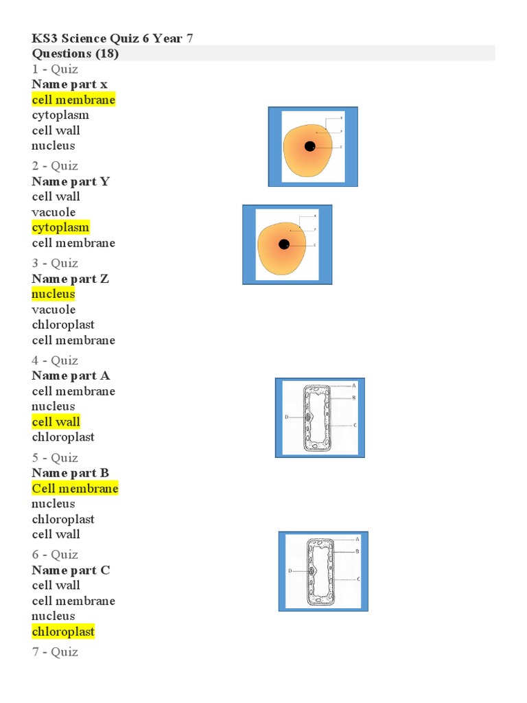 Year 7 Science Quiz Cells and Matter Quiz 6 Year 7 Answer | PDF | Gases ...