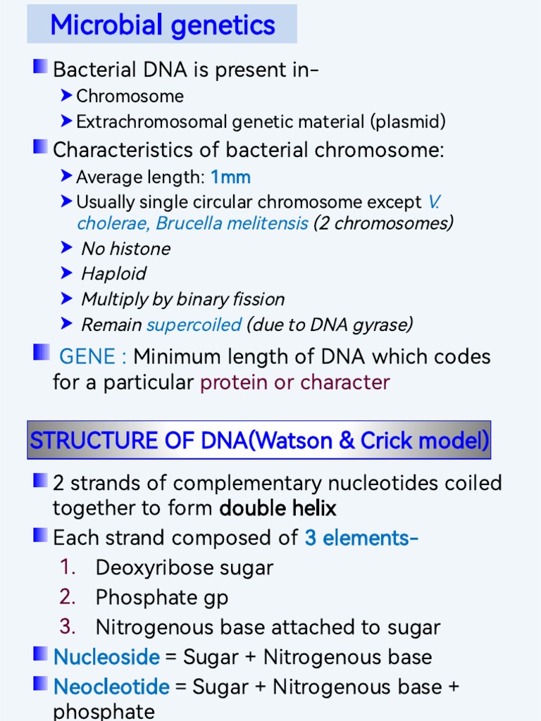 Bacterial Genetics: An Overview of Bacterial Chromosomes, Plasmids, DNA Structure, Mutation, and ...