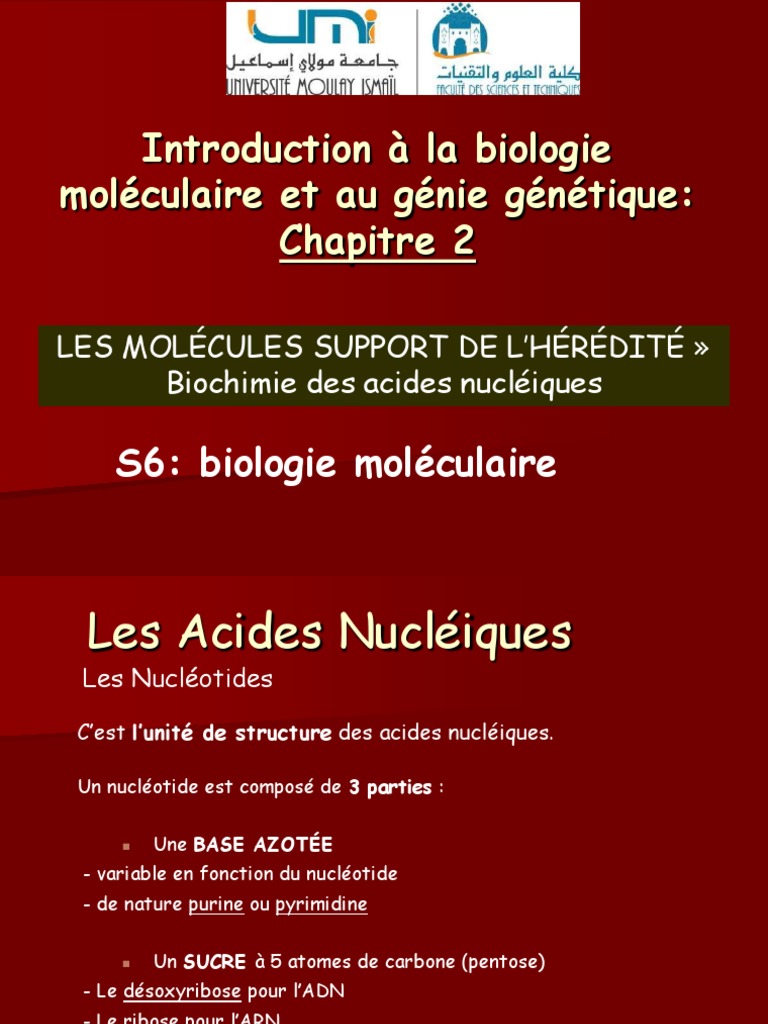 Comparaison ADN et ARN en biologie | PDF | ADN | Acide nucléique