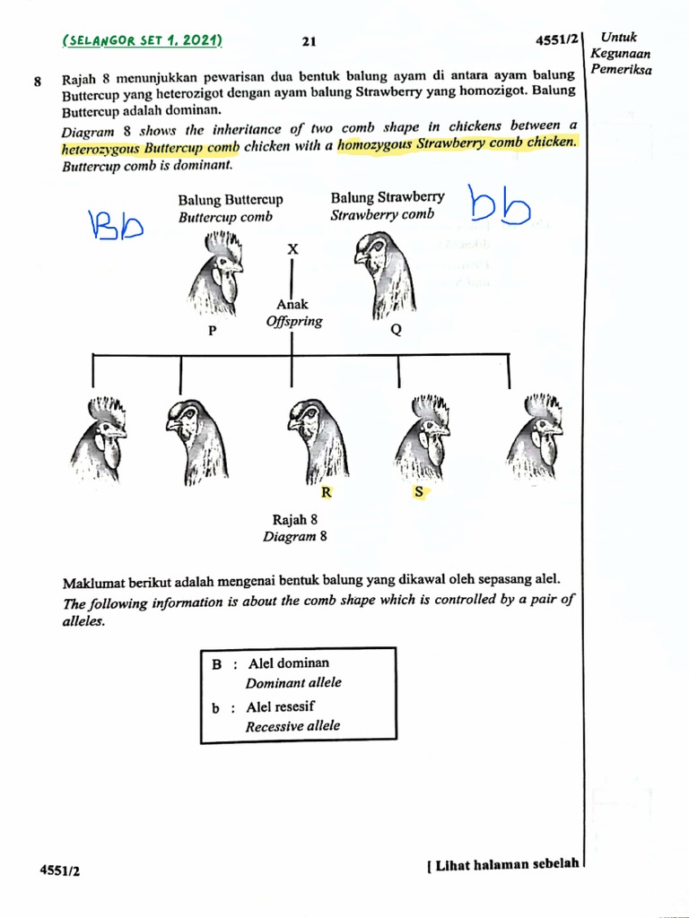 Bab 11 Pewarisan | PDF