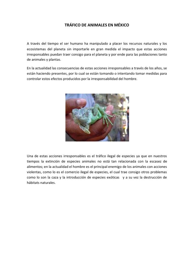 Negocios Ilícitos: Análisis y Consecuencias | PDF | Especies ...