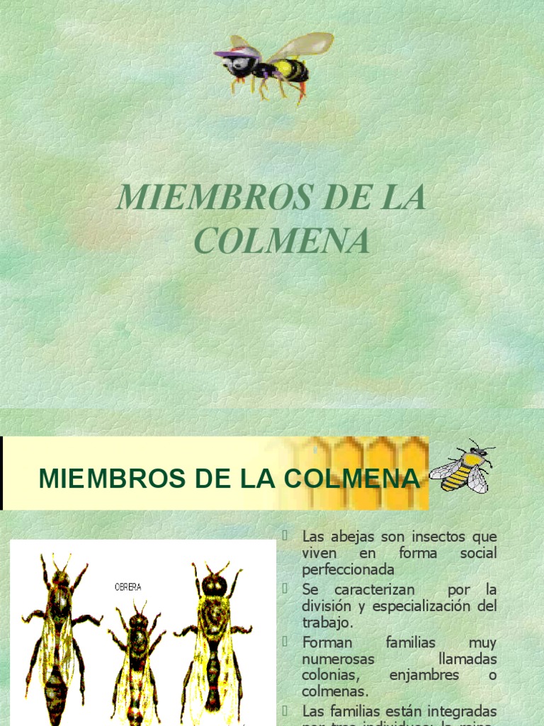 M 1 Miembros De La Colmena 2006 Pdf Colmena Western Honey Bee