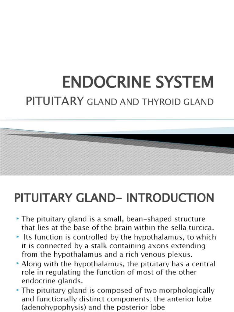 Endocrine System Pathology | PDF | Thyroid | Hyperthyroidism