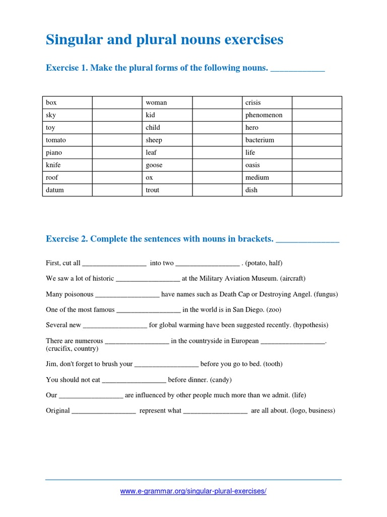 Singular and Plural Nouns Exercises: Exercise 1. Make The Plural Forms of The Following Nouns. | PDF