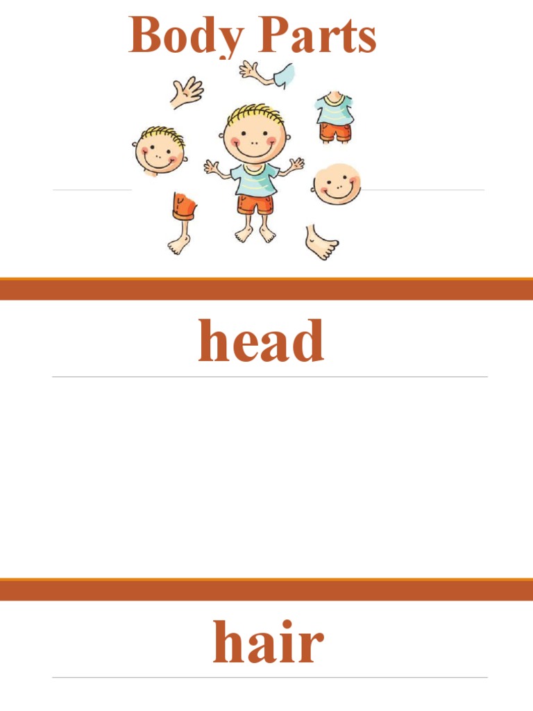 Body Parts 1 | PDF