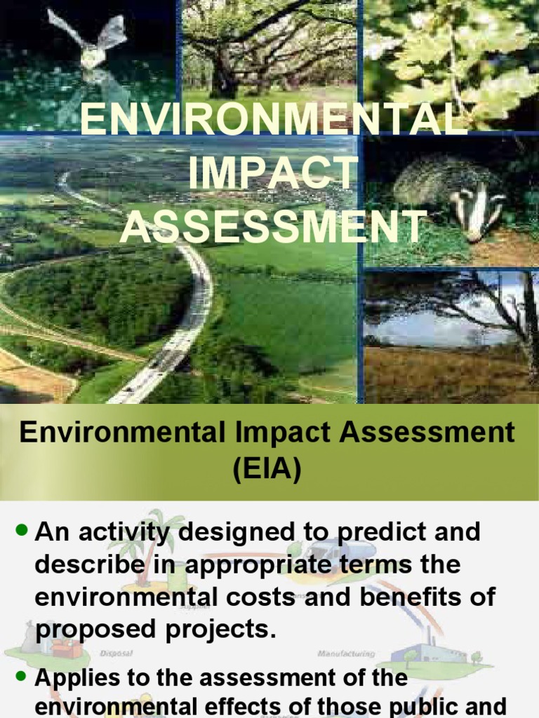Environmental Impact Assessment | PDF | Environmental Impact Assessment ...