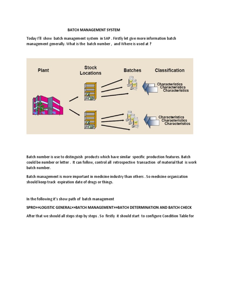 Batch Management System 1667745210 | PDF | Computer Science | Data ...