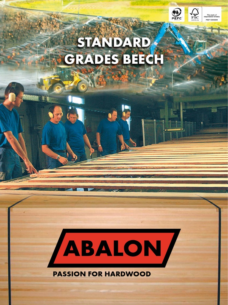 Abalon - Standard Grades Beech | PDF | Lumber | Wood