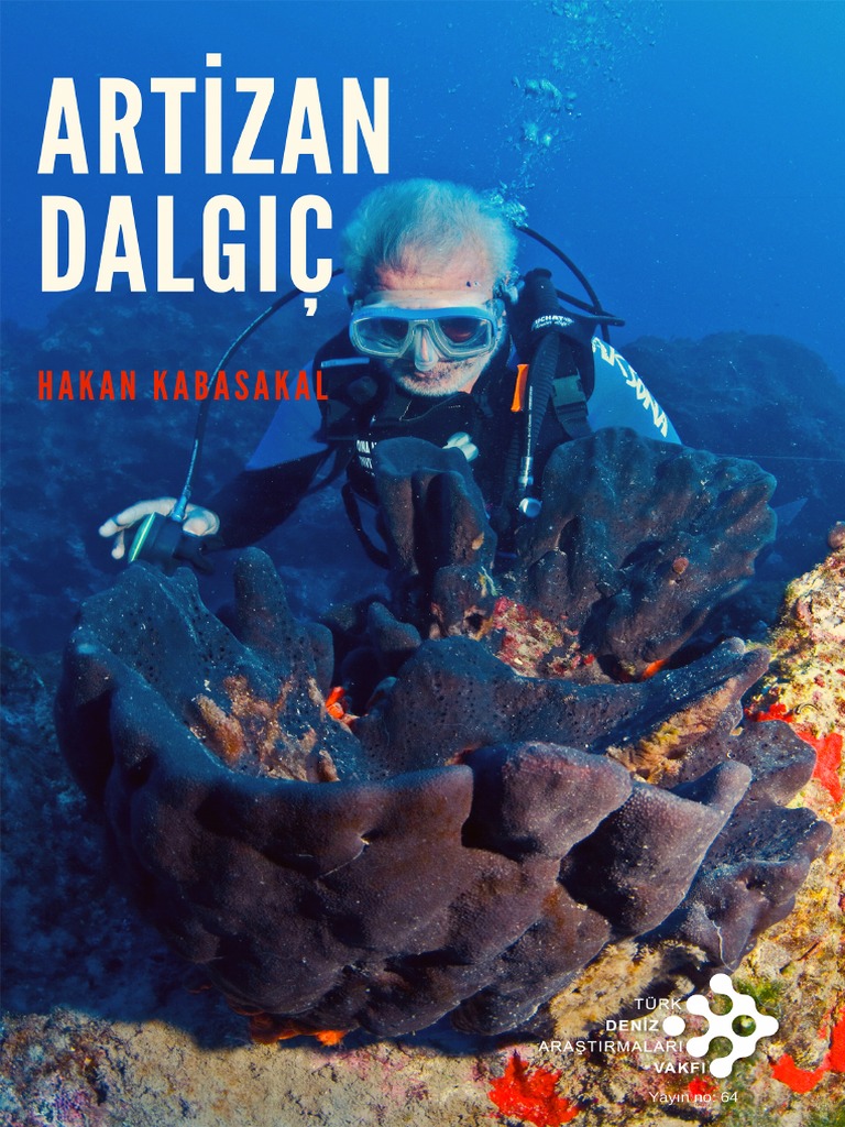 Artizan Dalgic Kabasakal TUDAV | PDF