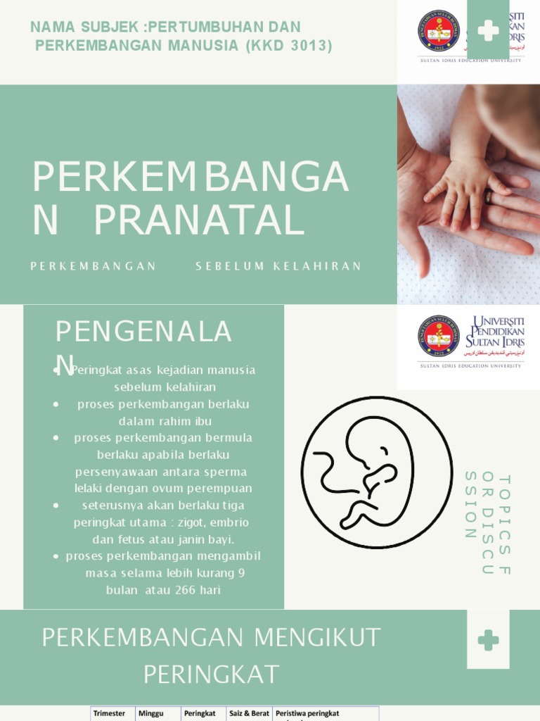 Perkembangan Pranatal | PDF