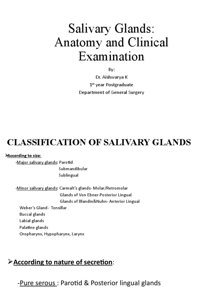 Salivary Glands - Anatomy & Clinical Examination-1 | Download Free PDF ...
