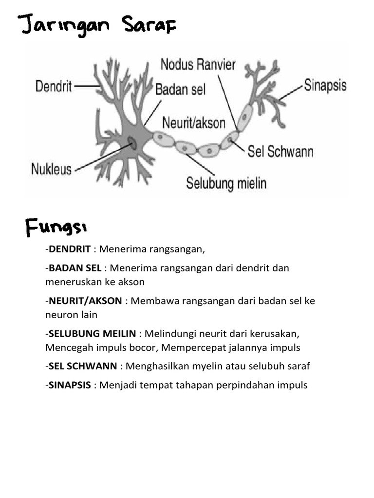 JARINGAN | PDF