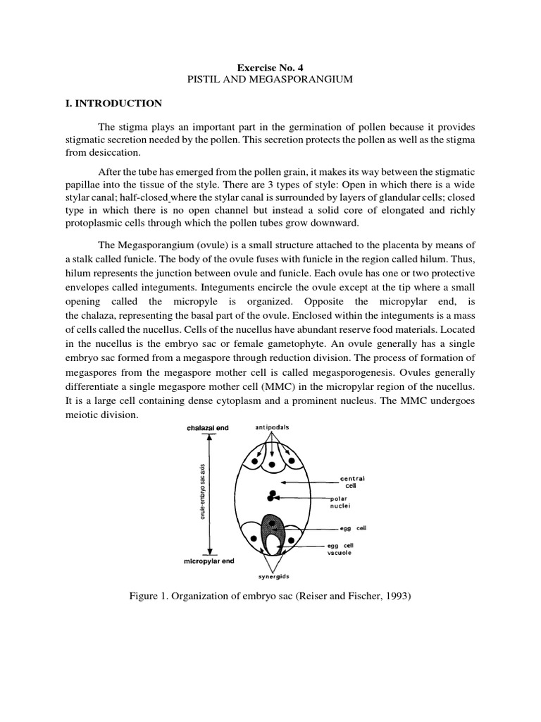 2023 Exercise No. 4 | PDF | Plants | Organisms