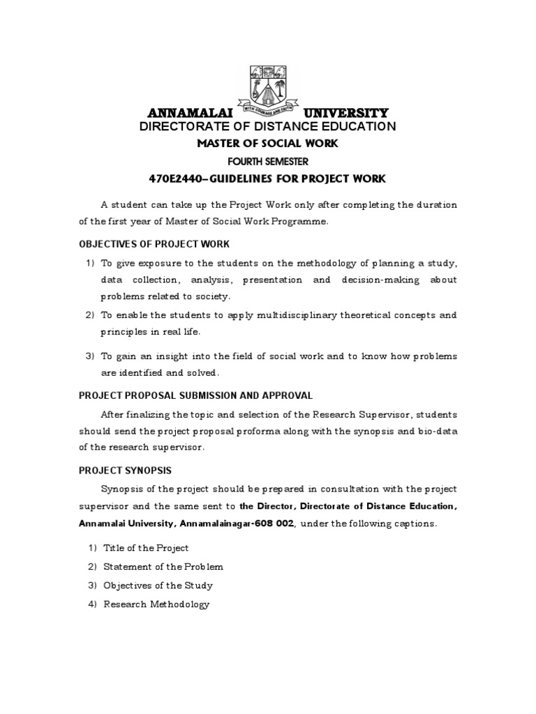 470E2440 - Project Guidelines | PDF | Methodology