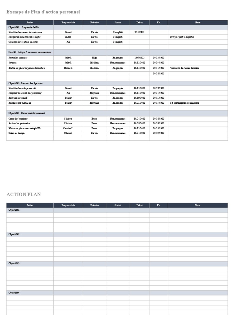 Exemple D Un Plan D Action | PDF