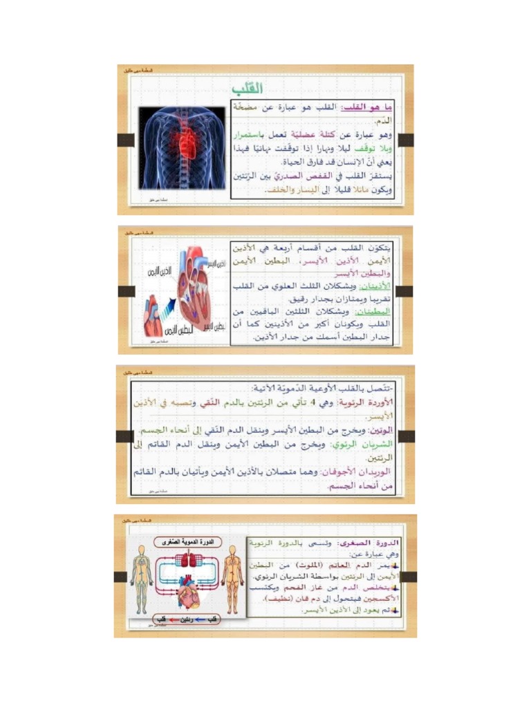 Chedli Pdf