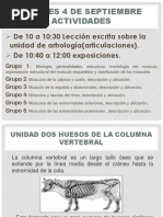 Formulas Dentales de Los Animales Domésticos | PDF