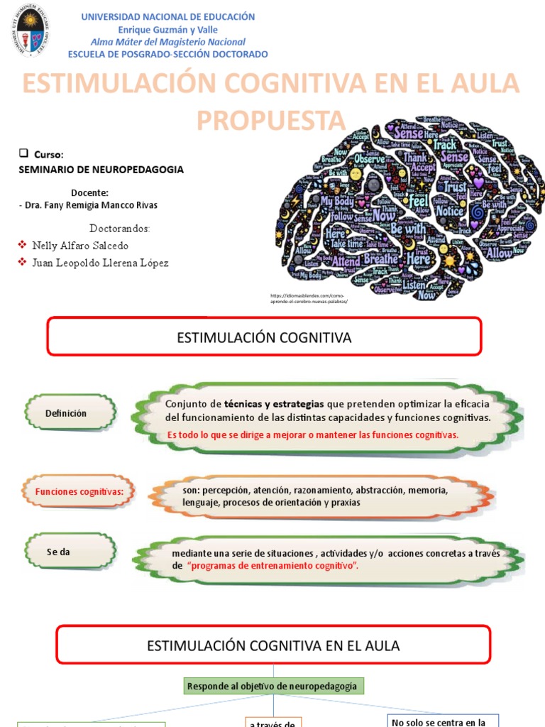 Estimulacion Cognit. Nelly | PDF | Memoria | Aprendizaje