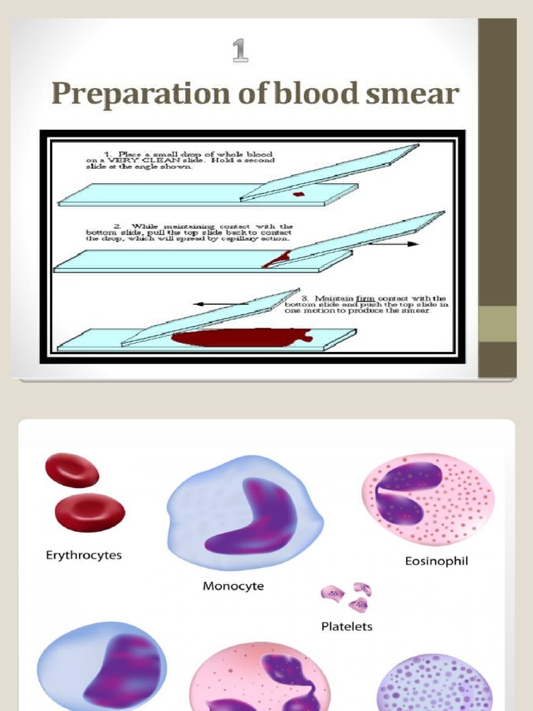 Leishman Staining Procedure for Blood Smears | PDF | Cooking, Food & Wine