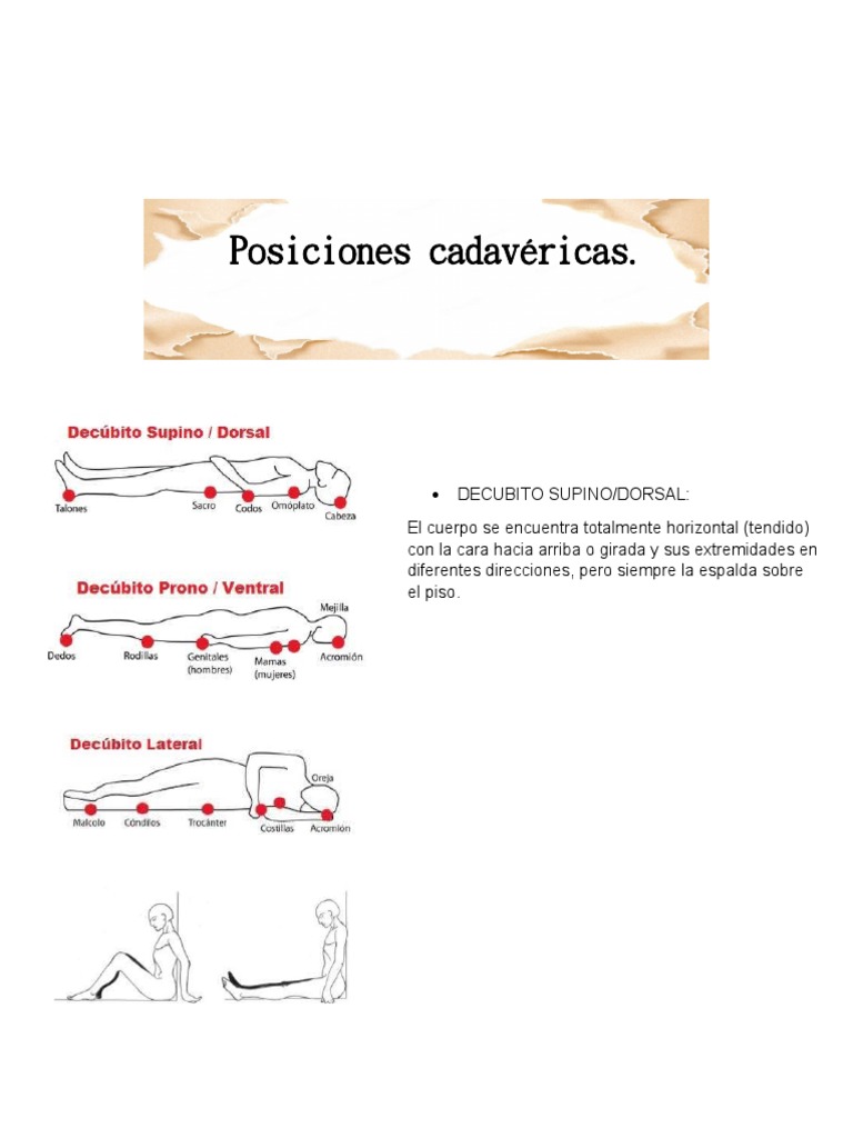 Posiciones Cadavericas | PDF
