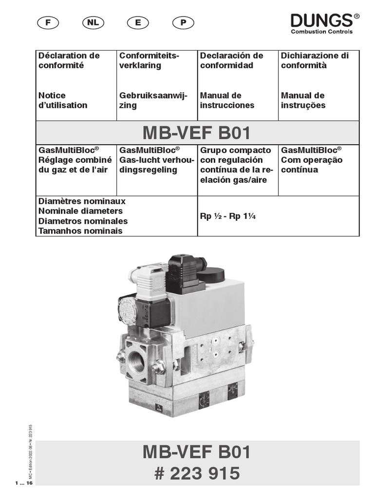 Dungs Mb-Vef b01 | PDF | Cantidades fisicas | Ciencias fisicas