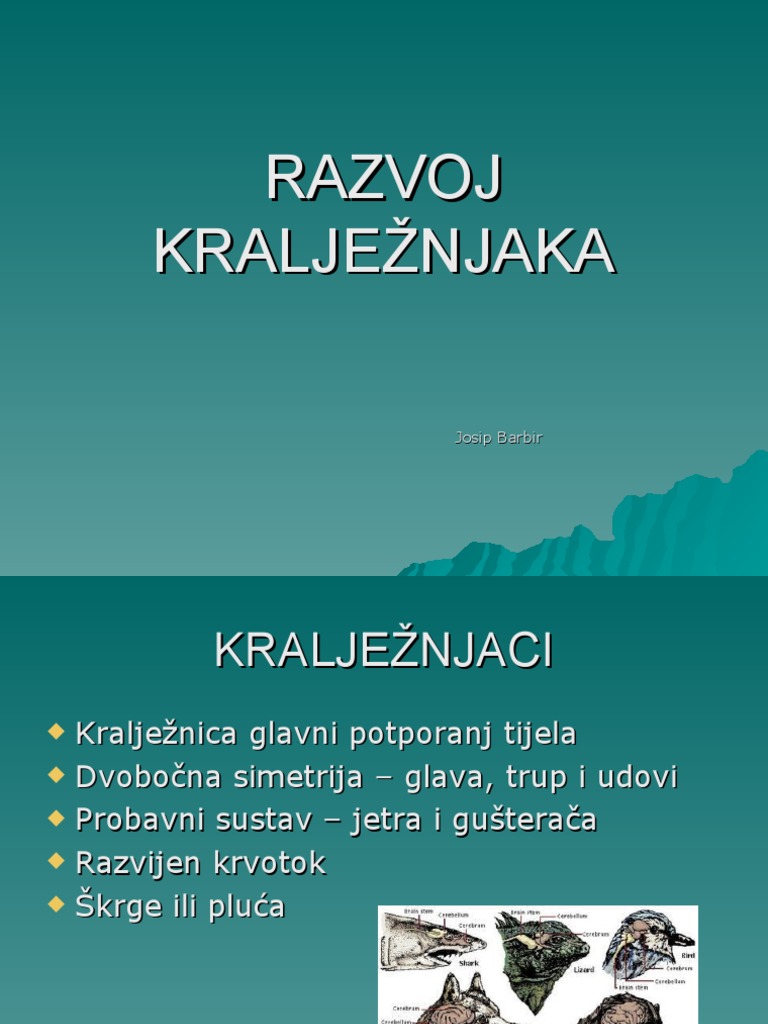 Razvoj Kraljeznjaka | PDF