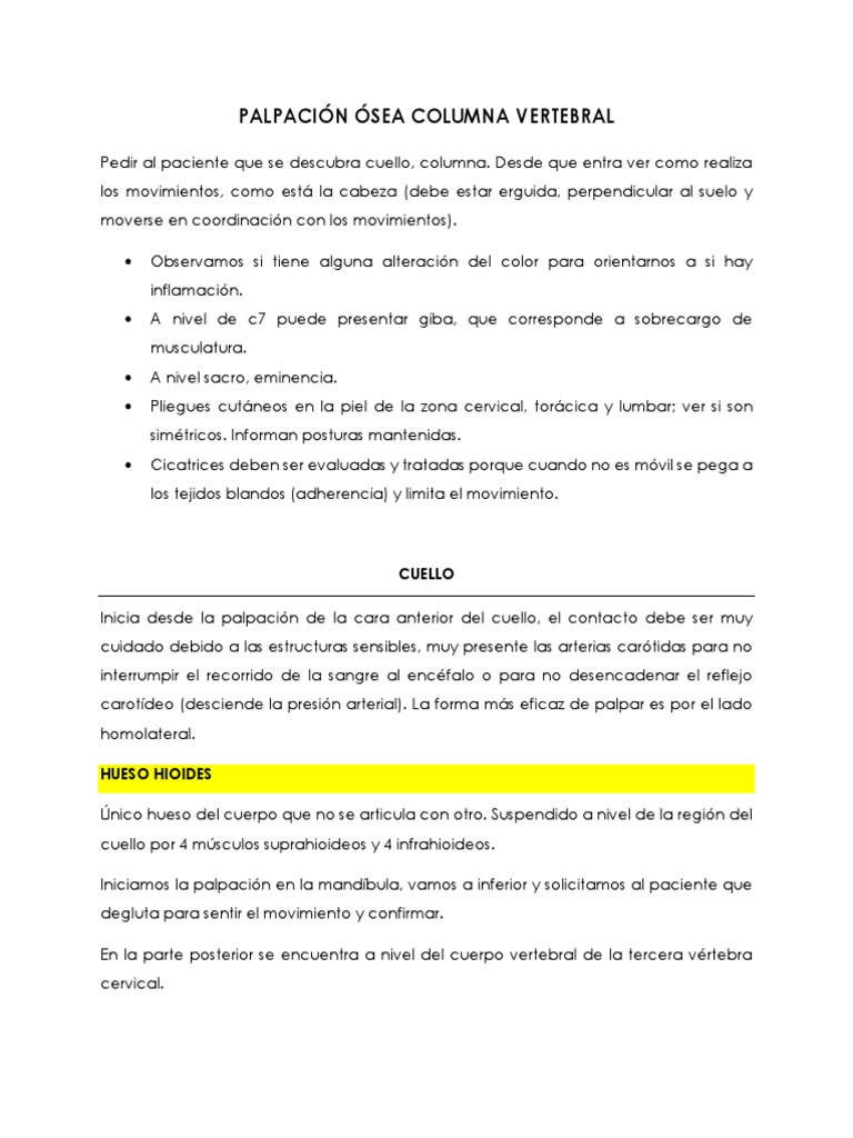 Palpación ósea Columna Vertebral Pdf Vértebra La Columna Vertebral