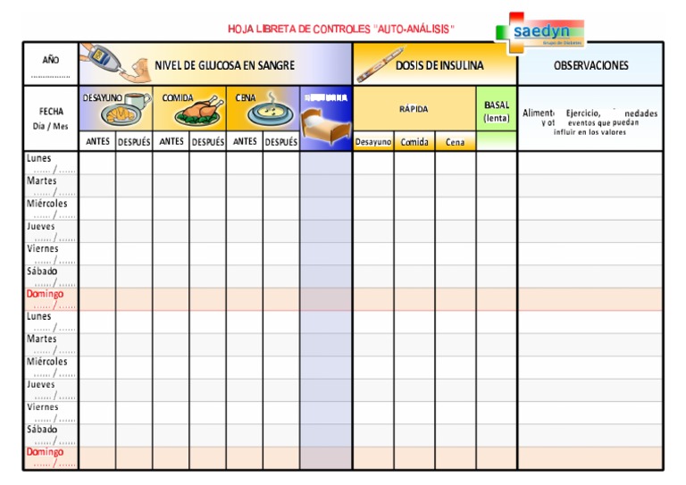 Hoja_de_controles_de_glucosa_o_auto_analisis (1) | PDF