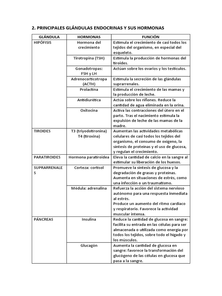 Principales Glándulas Endocrinas y Sus Hormonas | PDF | Sistema endocrino | Hormona
