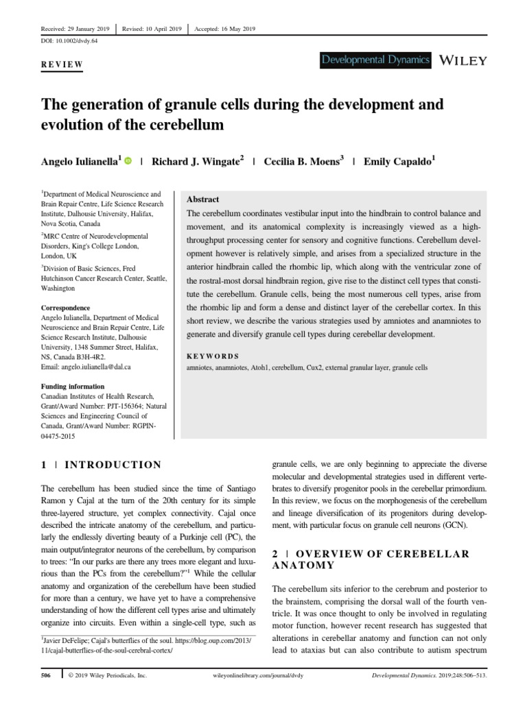 Iulianella Et Al-2019-Developmental Dynamics | PDF | Cerebellum | Brain