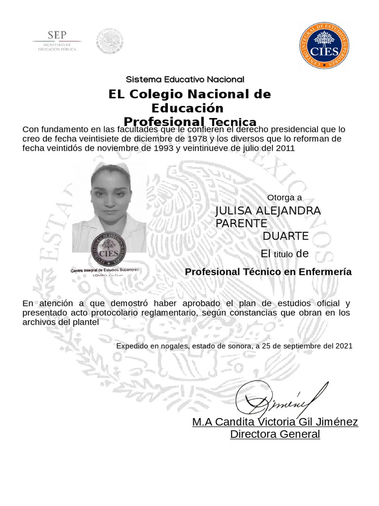 Titulo Enfermeria | PDF