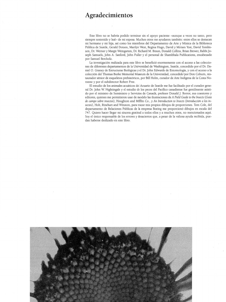 Doczi El Poder de Los Limites | PDF