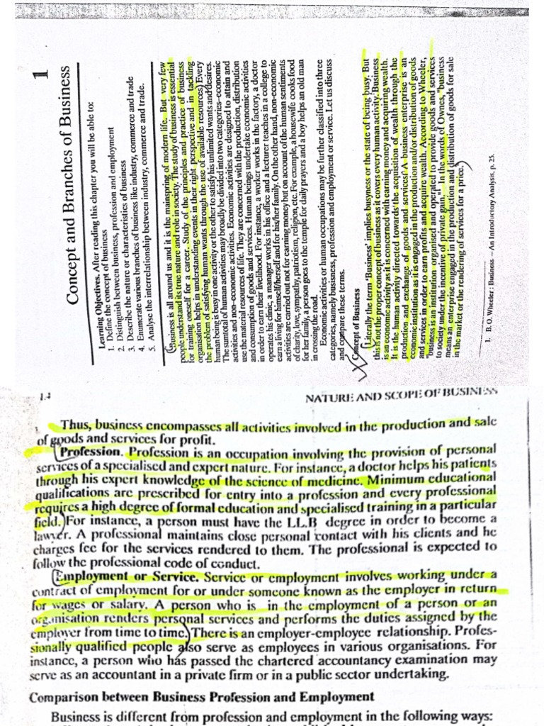 Chapter 1 Concept and Branches of Business | PDF