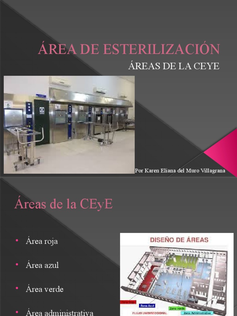 Áreas de la CEyE: Azul, Roja, Verde y Administrativa | PDF