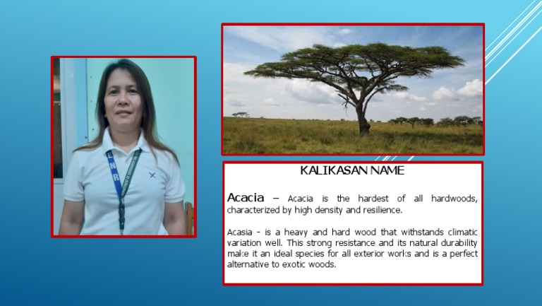 Kalikasan Name (Acasia) | PDF