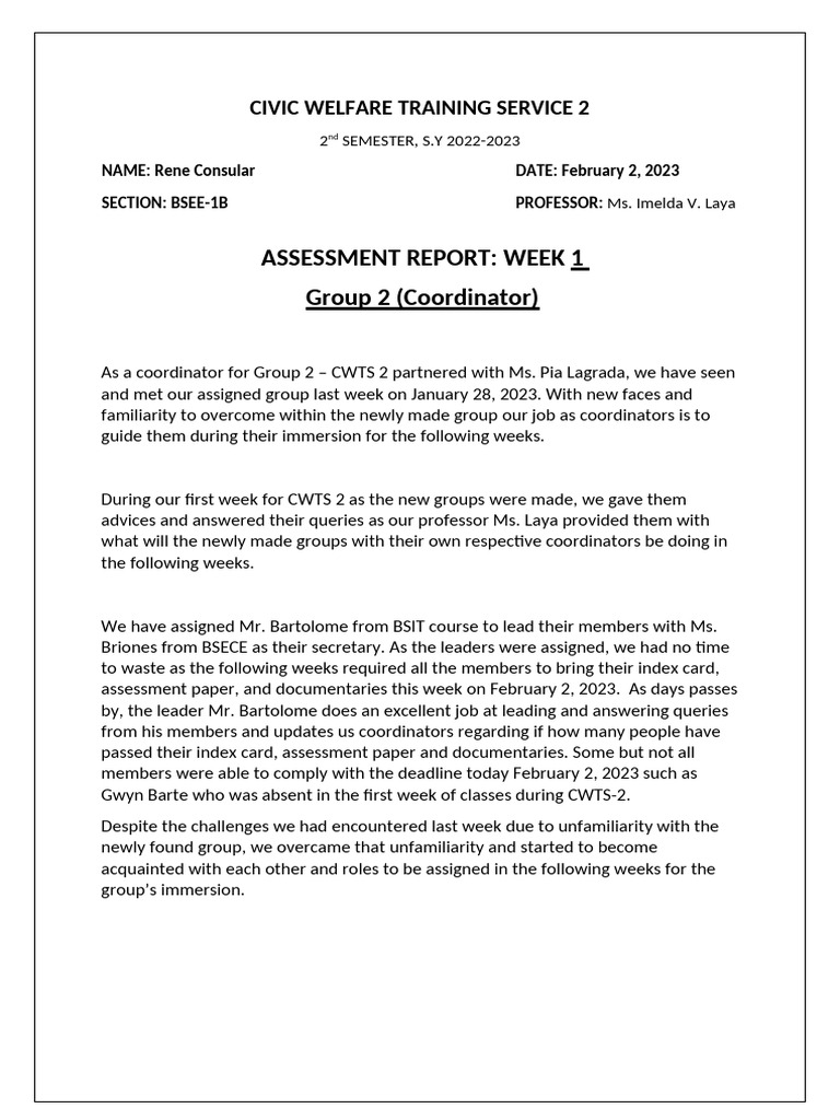 Assessment Report Template | PDF