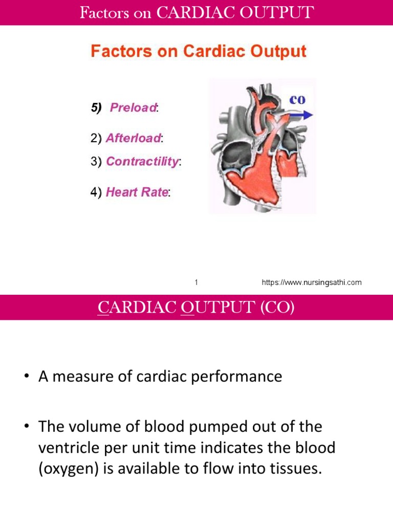 Cardiac Output | PDF | Ventricle (Heart) | Diastole