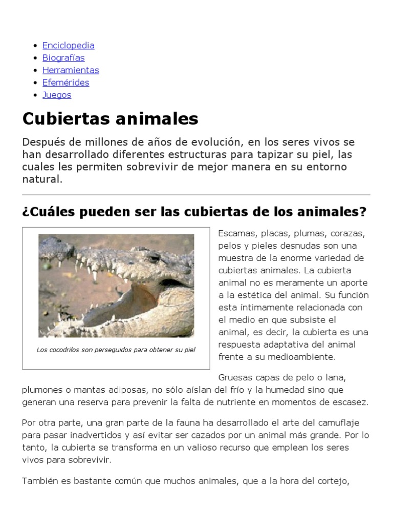 Cubiertas Animales - Estructura y Función de Los Seres Vivos - Icarito ...