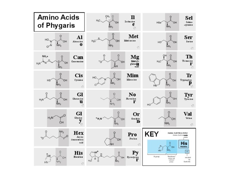 Key To Amino Acids of Phygaris (Student Version) - 1 | PDF | Amino Acid ...