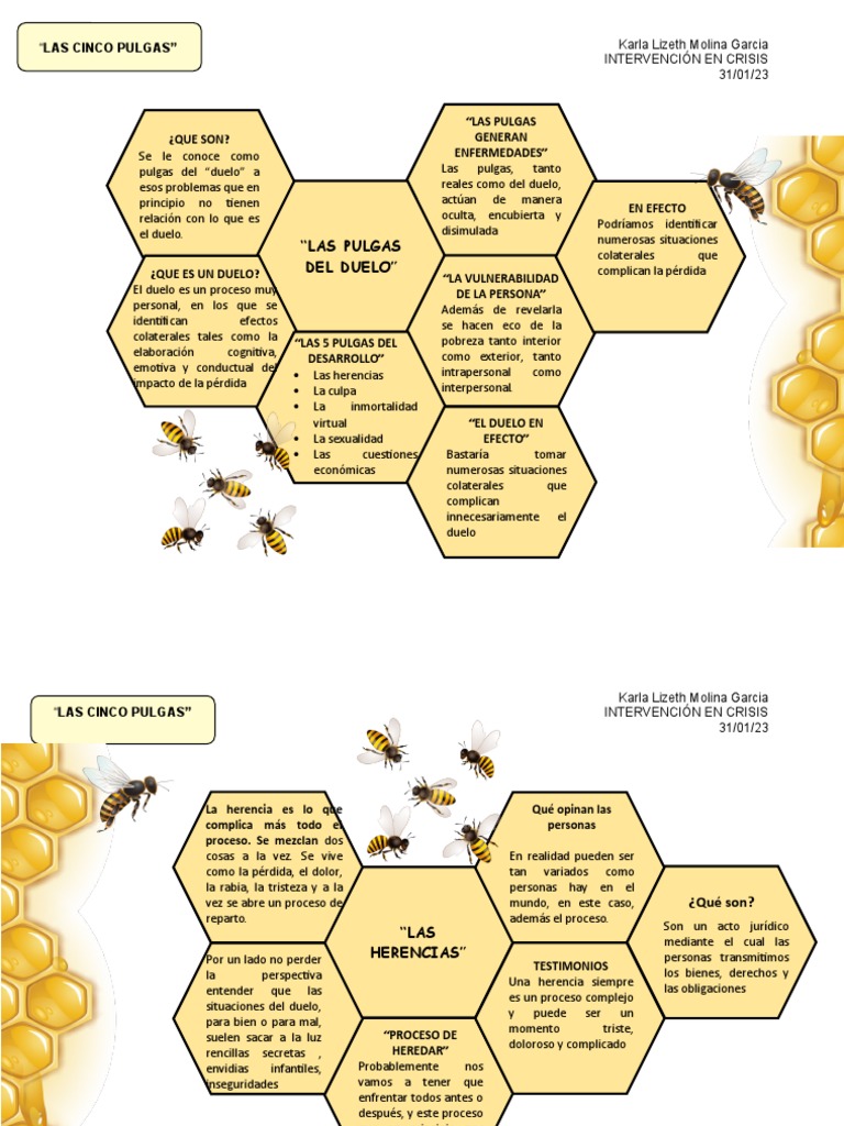 Mapas Panal | PDF | Dolor | Sicología