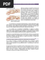 Escala de Zulewski para Hipotiroidismo | PDF | Hipotiroidismo | Hormona ...