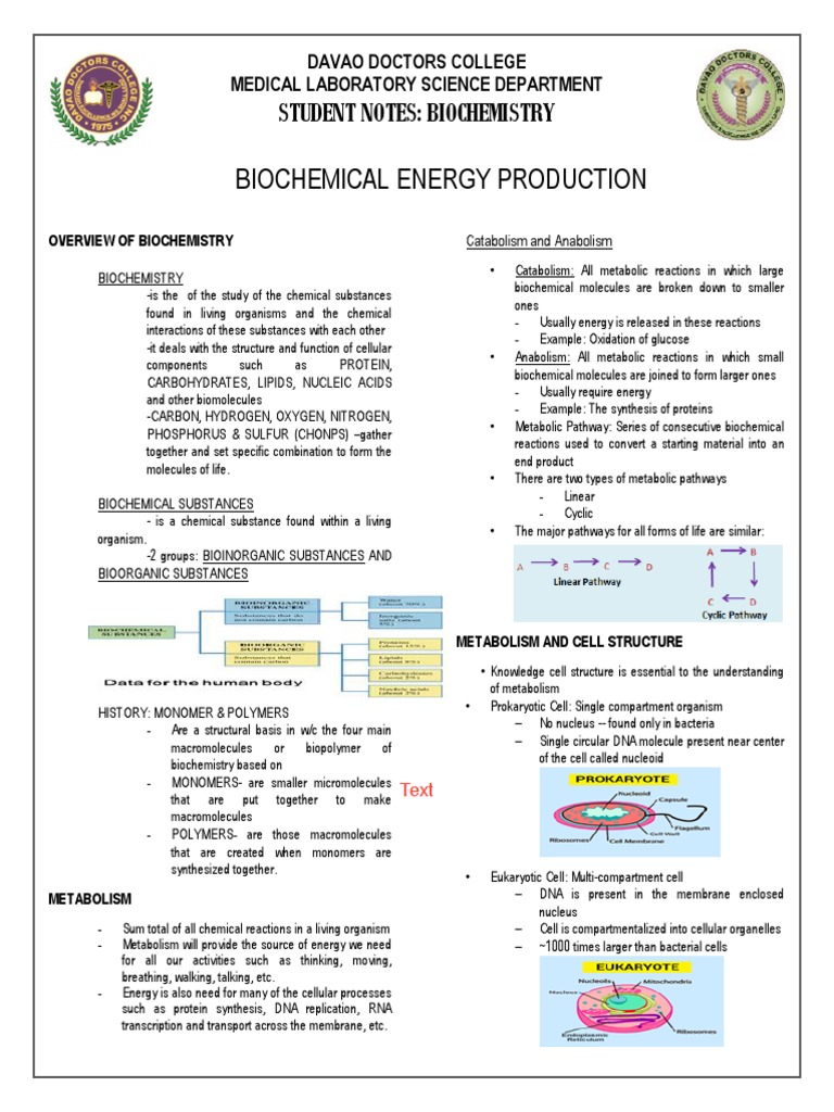 Biochemical Energy Production Handouts | PDF | Citric Acid Cycle ...