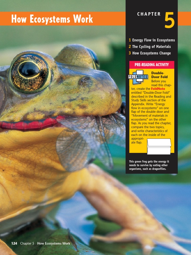 Enviro Chapter 5 | PDF | Food Web | Ecosystem