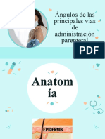 Via Intratecal | PDF | Farmacia | Medicina CLINICA