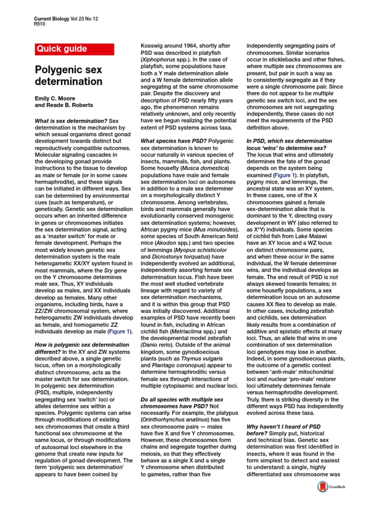 Polygenic Sex Determination Quick Guide Pdf Sex Evolution