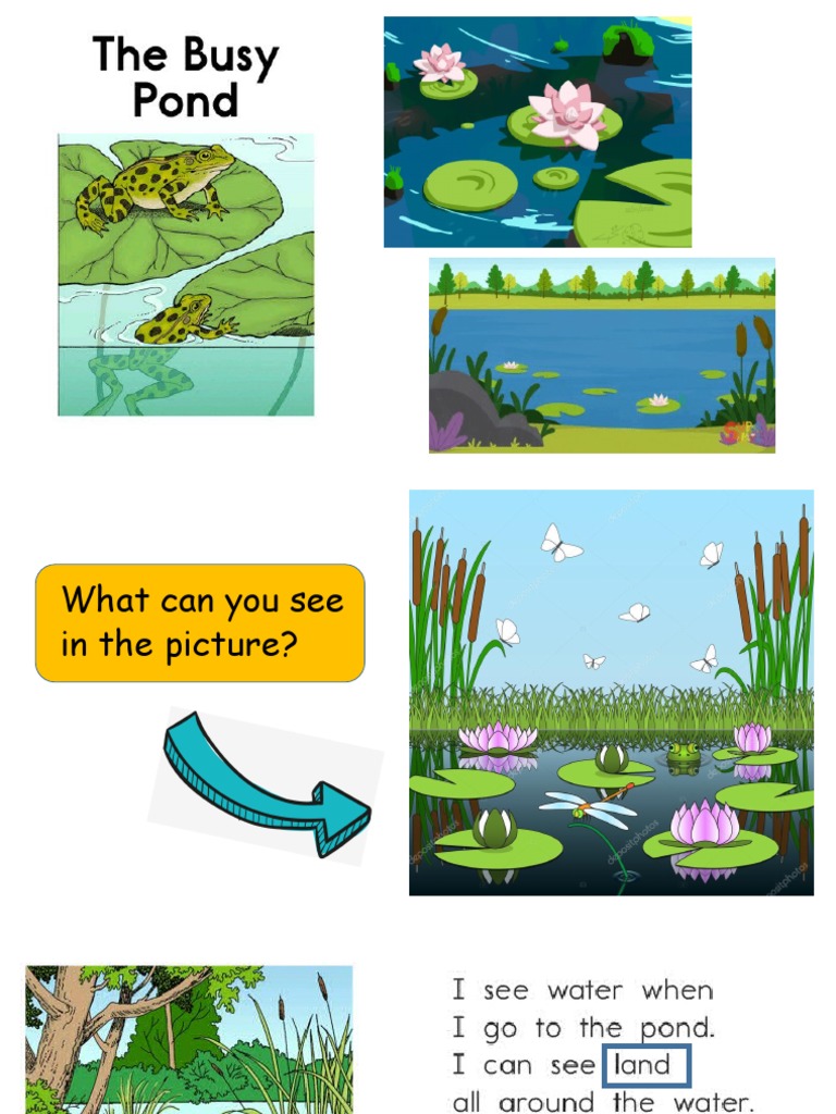 The Busy Pond (NEW) 05.01 | PDF