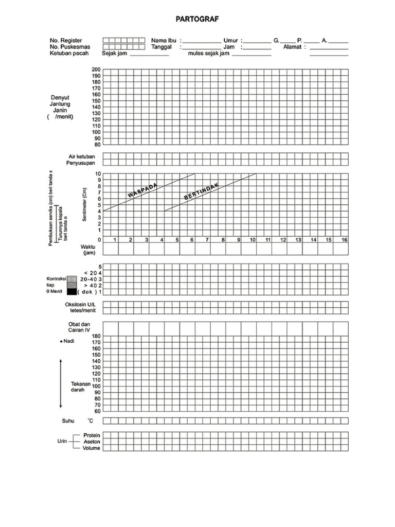 Partograf File | PDF